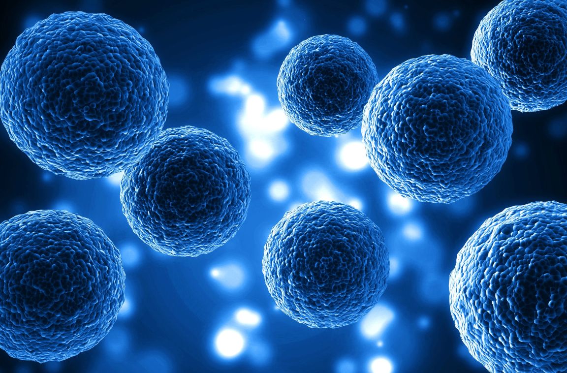 How The Eileen Fund Helps Support Cancer Research - The Eileen Fund